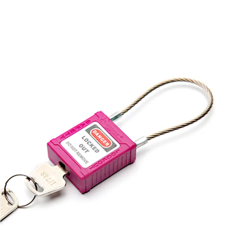 News - Enhance Industrial Security with the BD-G48 Compact Cable Padlock